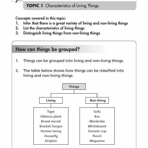 P3 Science Revision Workbook – Singapore Learning Mind