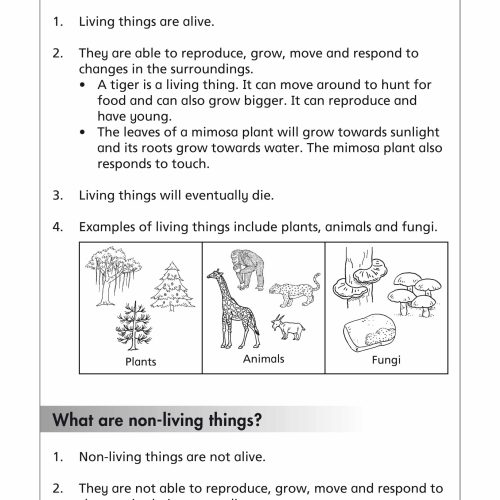 P3 Science Revision Workbook – Singapore Learning Mind