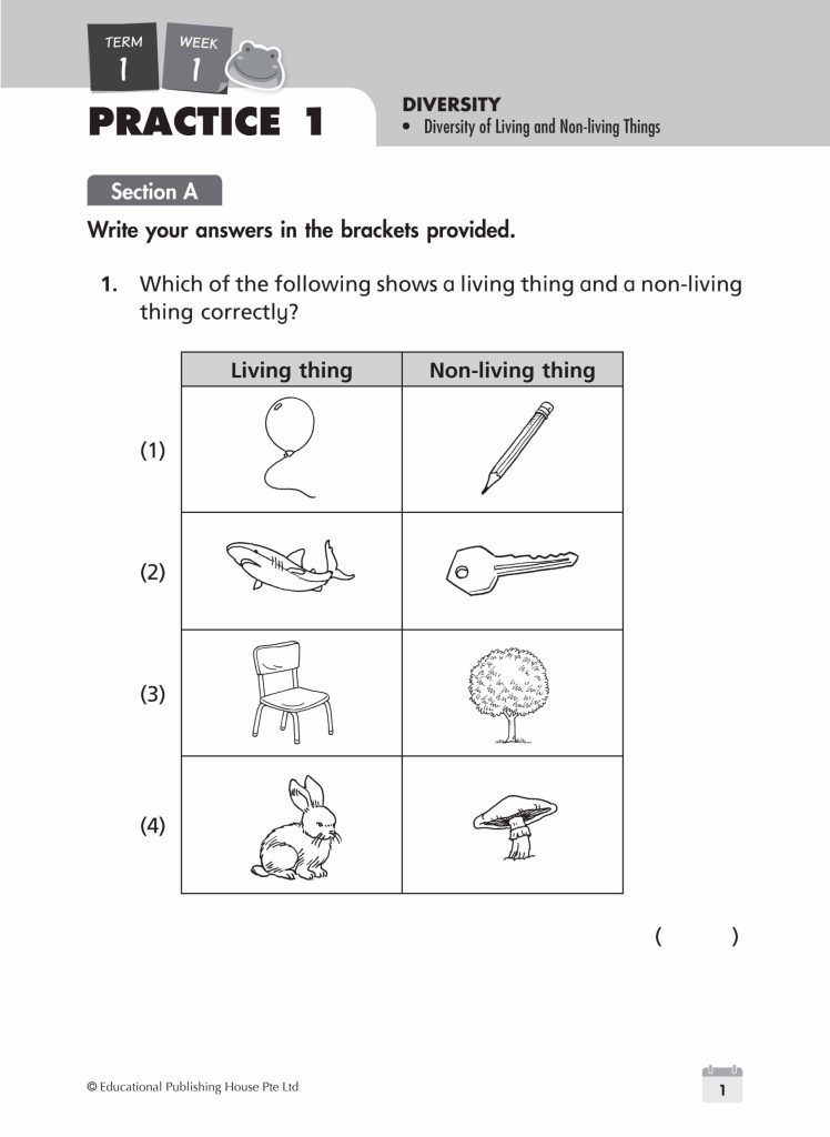P3 Science Weekly Revision – Singapore Learning Mind