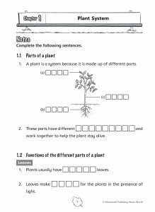 P4 Science Practice 1000+ – Singapore Learning Mind