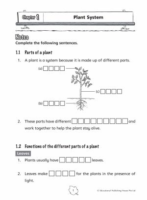 P4 Science Practice 1000+ – Singapore Learning Mind