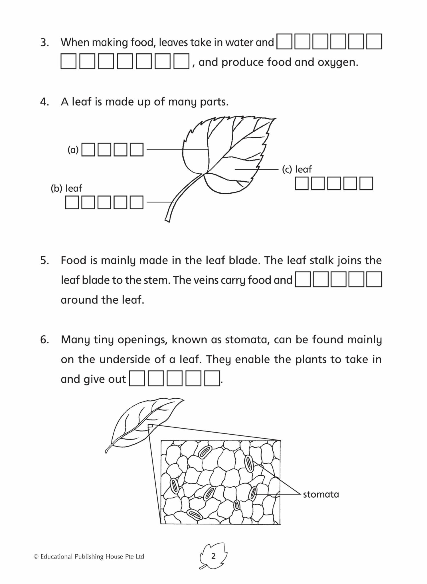 P4 Science Practice 1000+ – Singapore Learning Mind