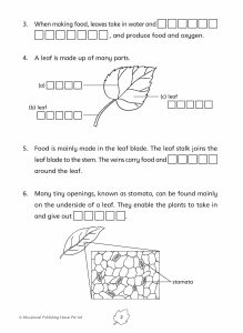 P4 Science Practice 1000+ – Singapore Learning Mind
