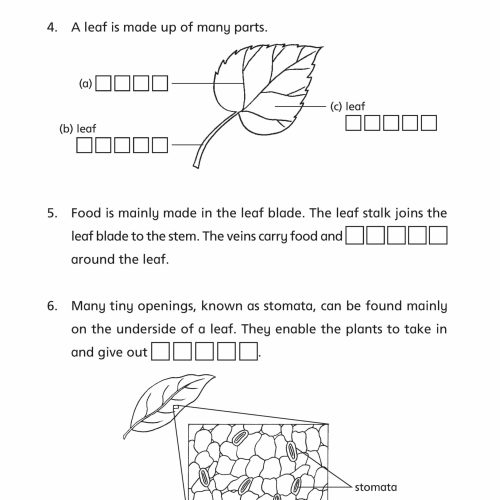 P4 Science Practice 1000+ – Singapore Learning Mind