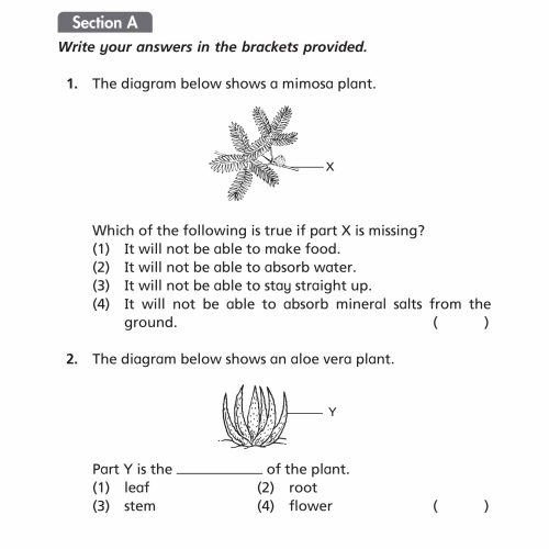 P4 Science Weekly Revision – Singapore Learning Mind
