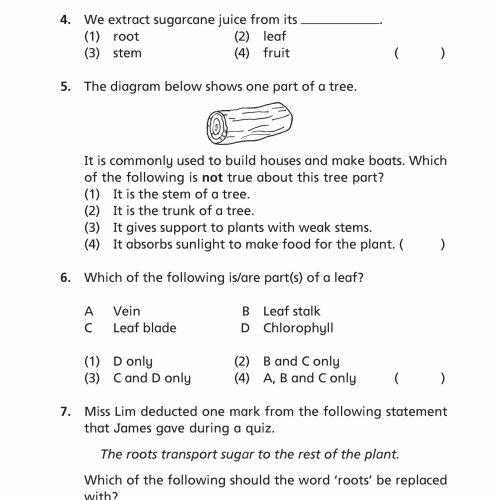 P4 Science Weekly Revision – Singapore Learning Mind