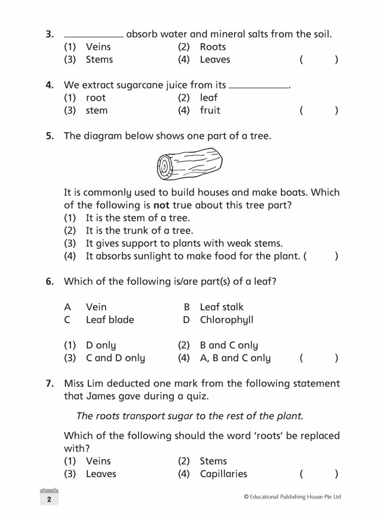 P4 Science Weekly Revision – Singapore Learning Mind