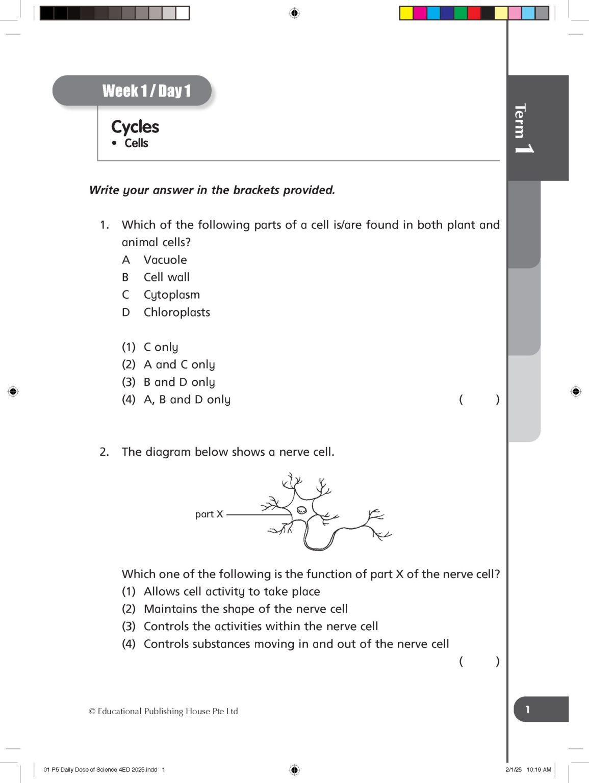 P5 Daily Dose of Science – Singapore Learning Mind