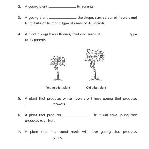 P5 Science Practice 1000+ – Singapore Learning Mind