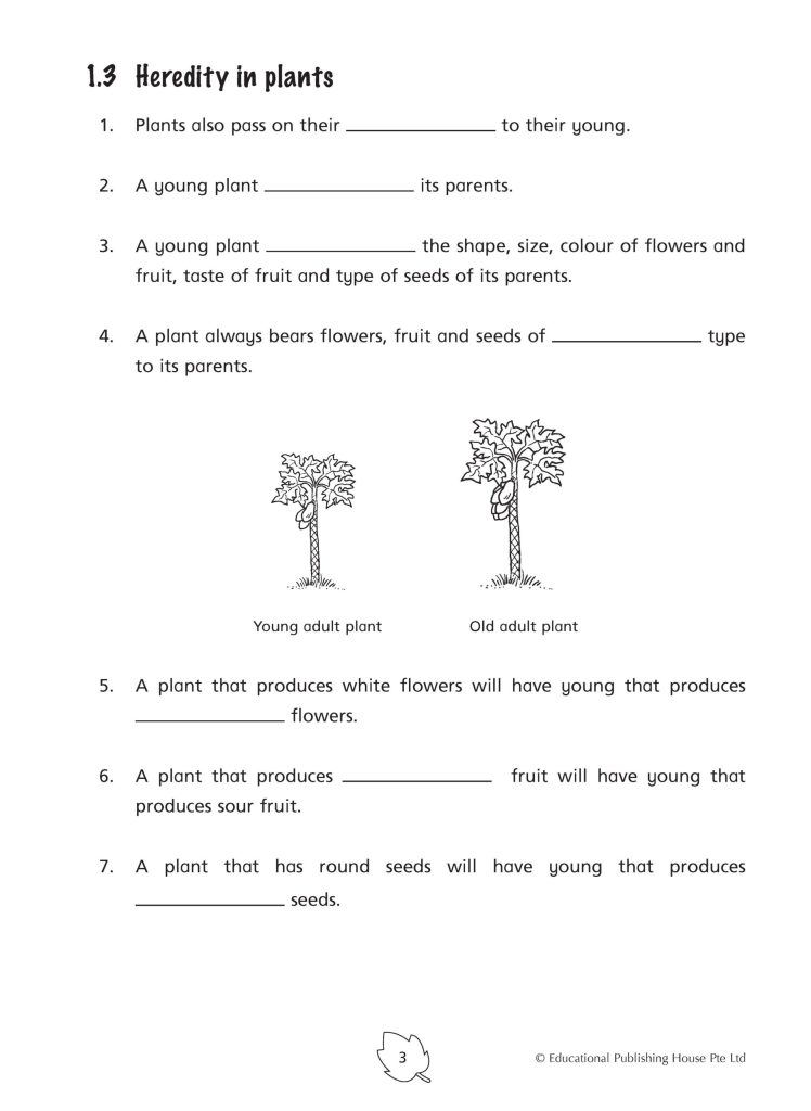 P5 Science Practice 1000+ – Singapore Learning Mind