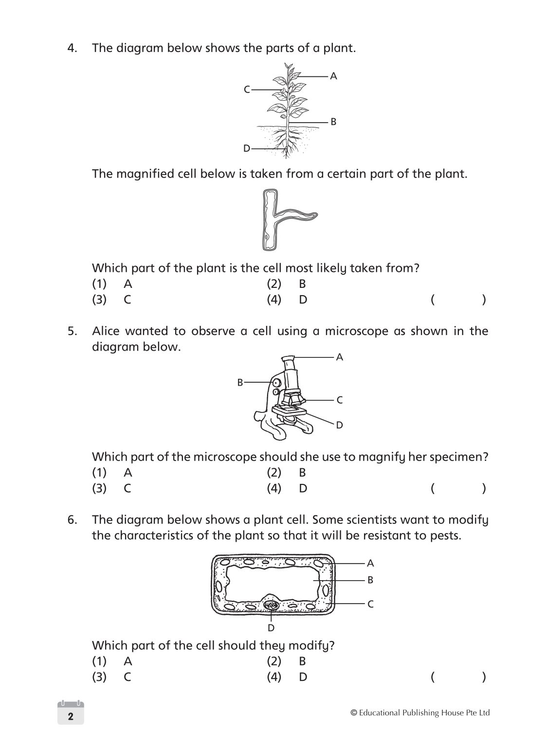 P5 Science Weekly Revision – Singapore Learning Mind