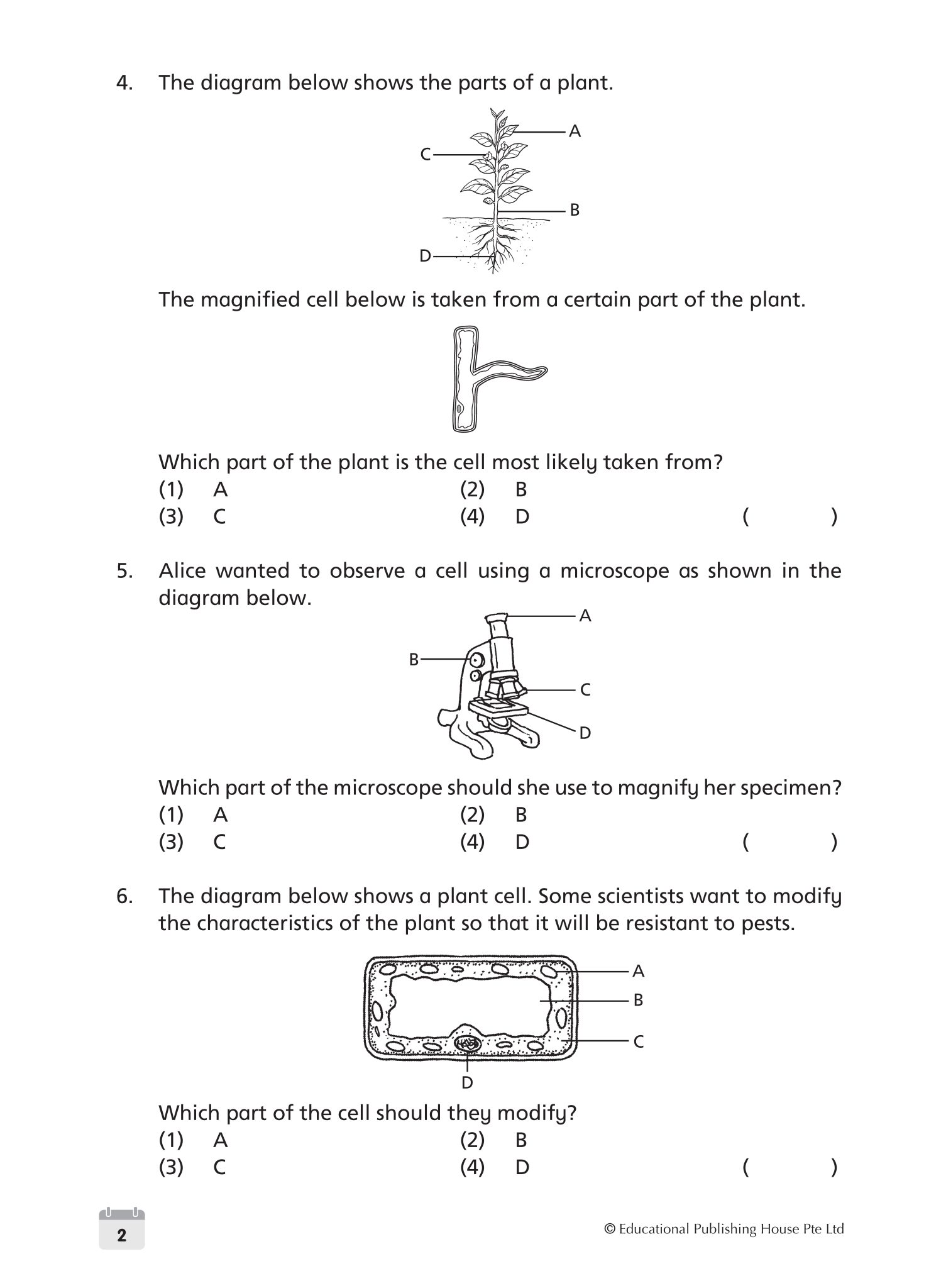P5 Science Weekly Revision – Singapore Learning Mind