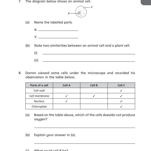 P5 Science Weekly Revision – Singapore Learning Mind