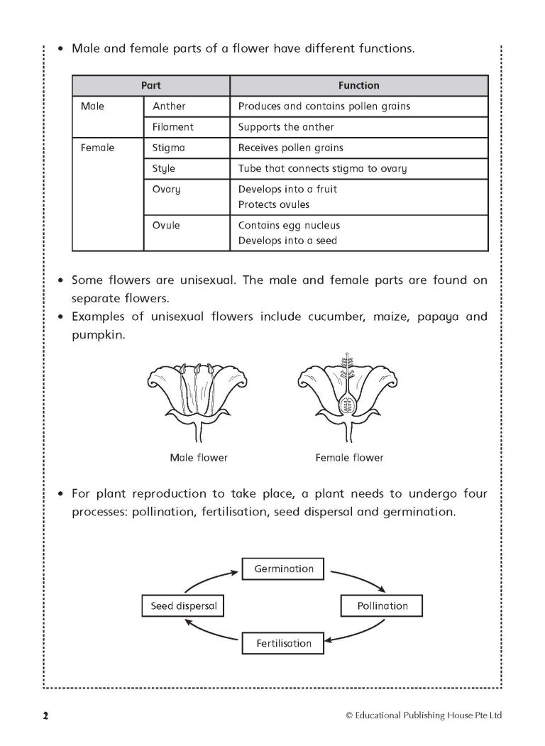 P5/6 Foundation Science Topical Practice Workbook – Singapore Learning Mind