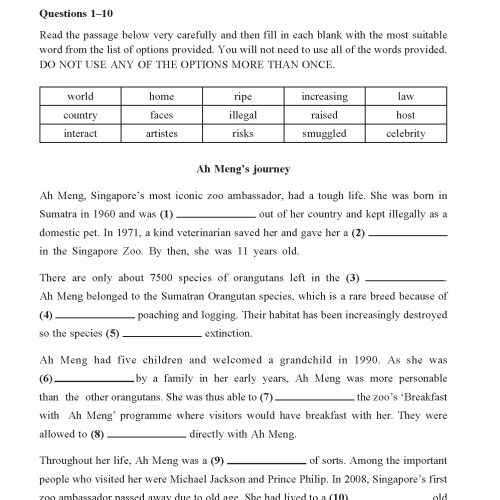 S1NT/G1 English Examination Practice – Singapore Learning Mind