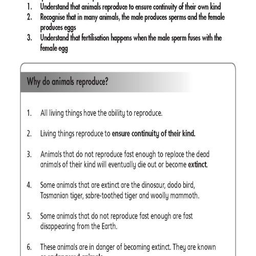 Upper Block Science Revision Workbook – Singapore Learning Mind